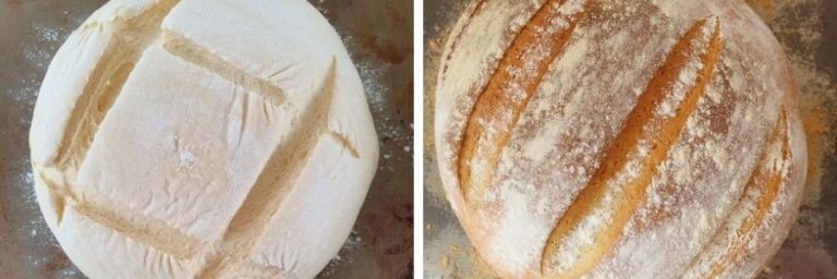 5 Simple Ideas: Make Bread Dough Softer & Avoid Heavy Bread - Loafy Bread